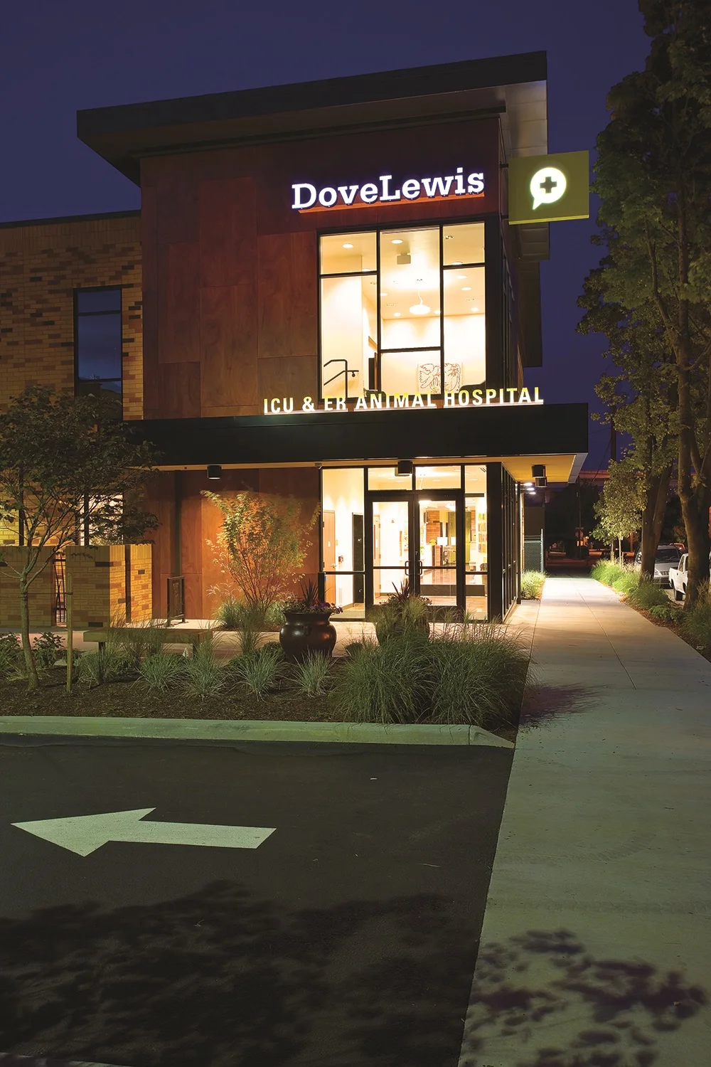 Dovelewis On The Floor | Viewfloor.co