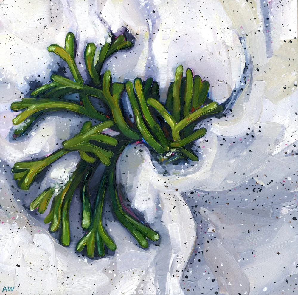 Seaweed Art