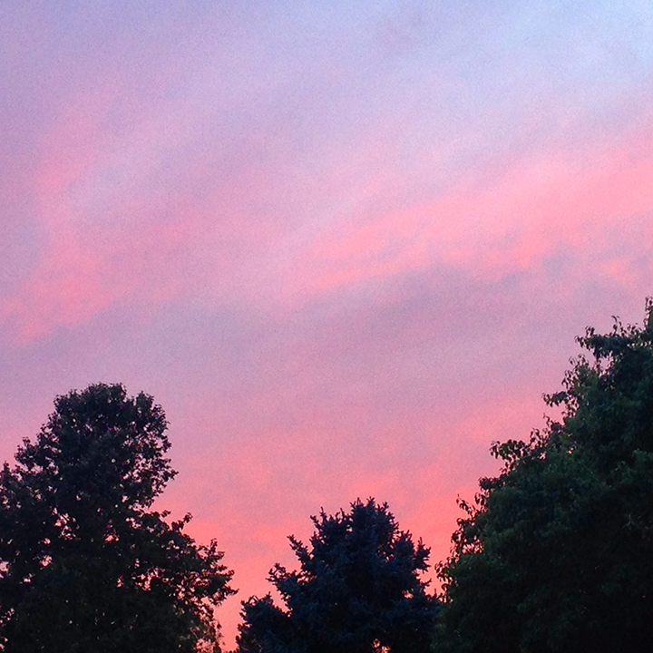 Sonoma — Katja Ollendorff