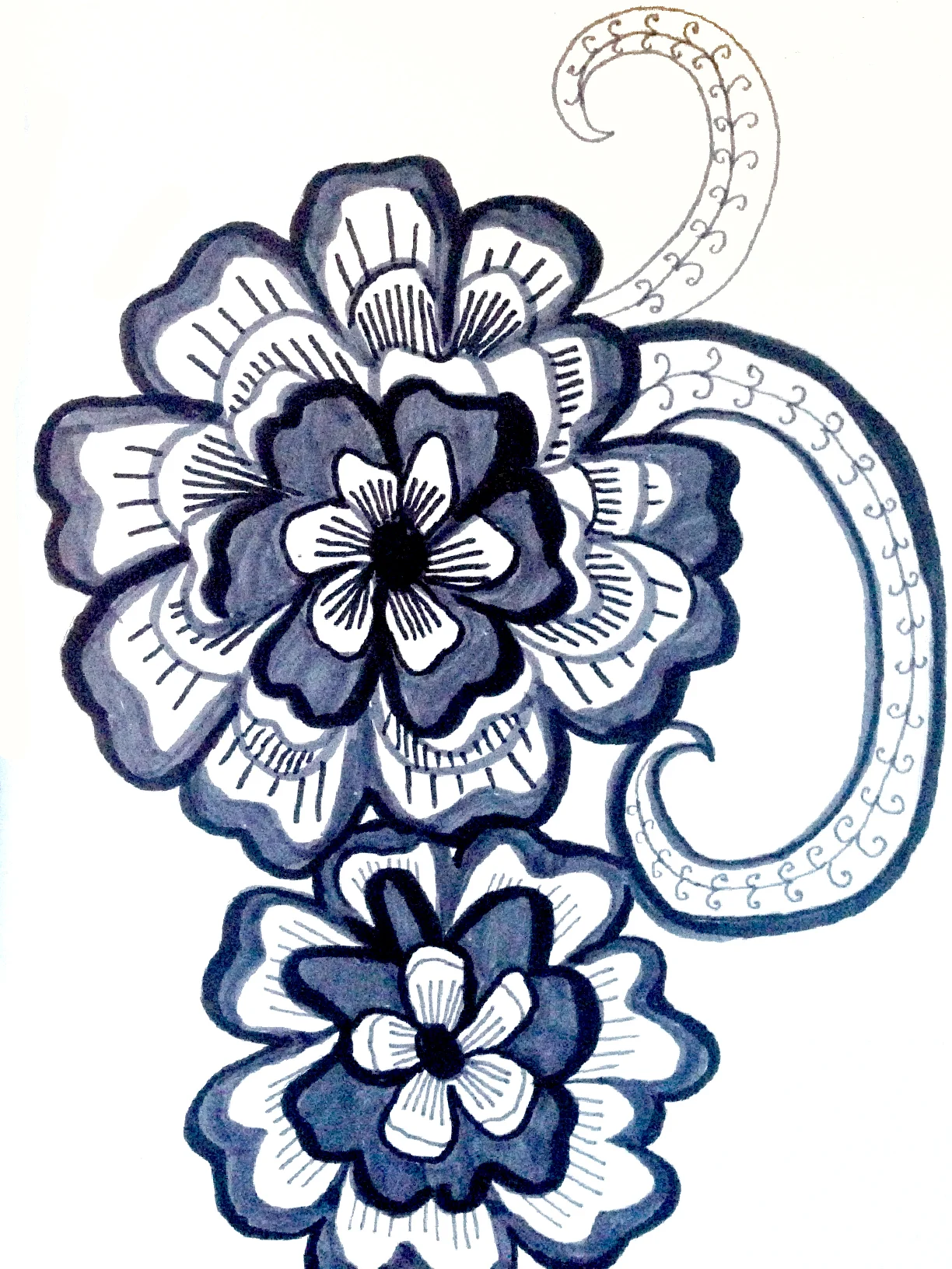 Have bloomin' great day! — Katja Ollendorff