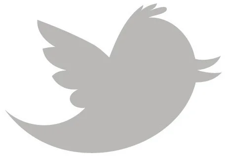 Twitter Icon Gray