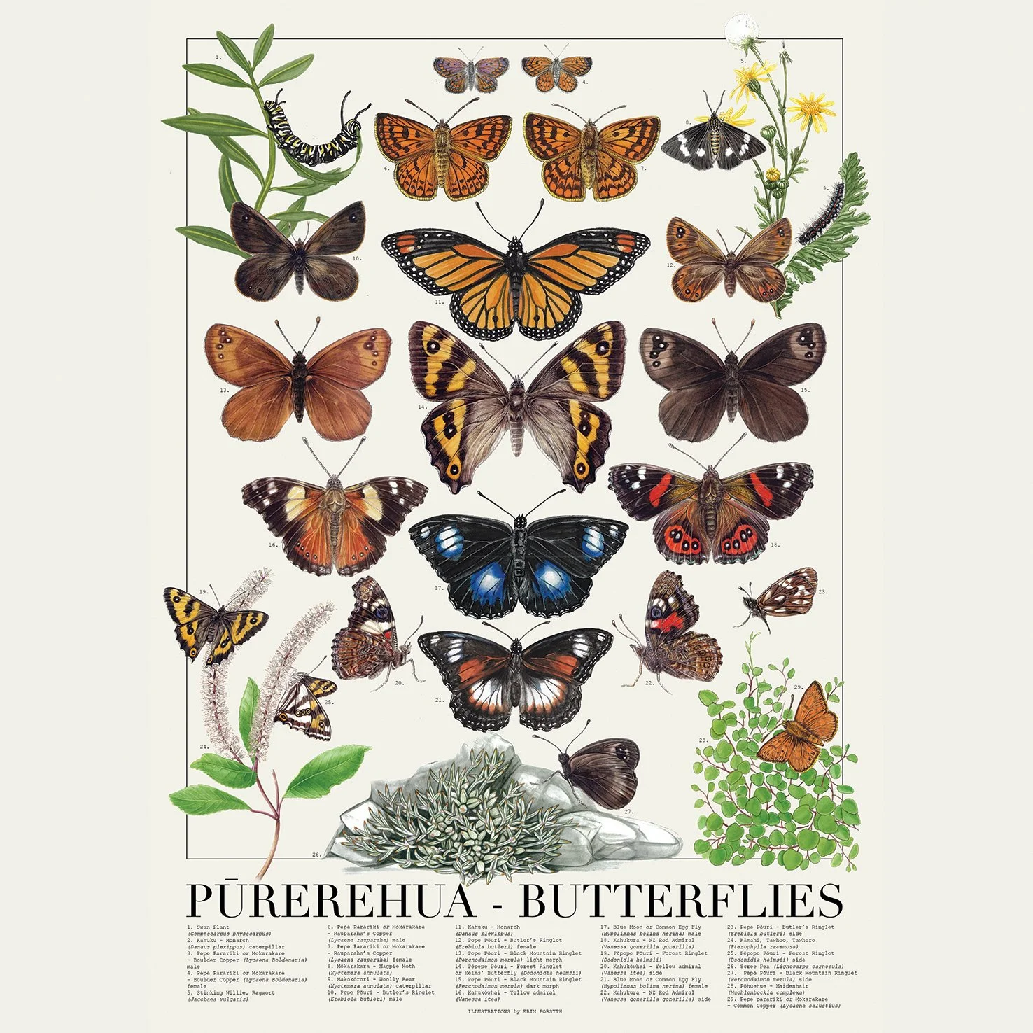 Prints and Posters — Erin Forsyth
