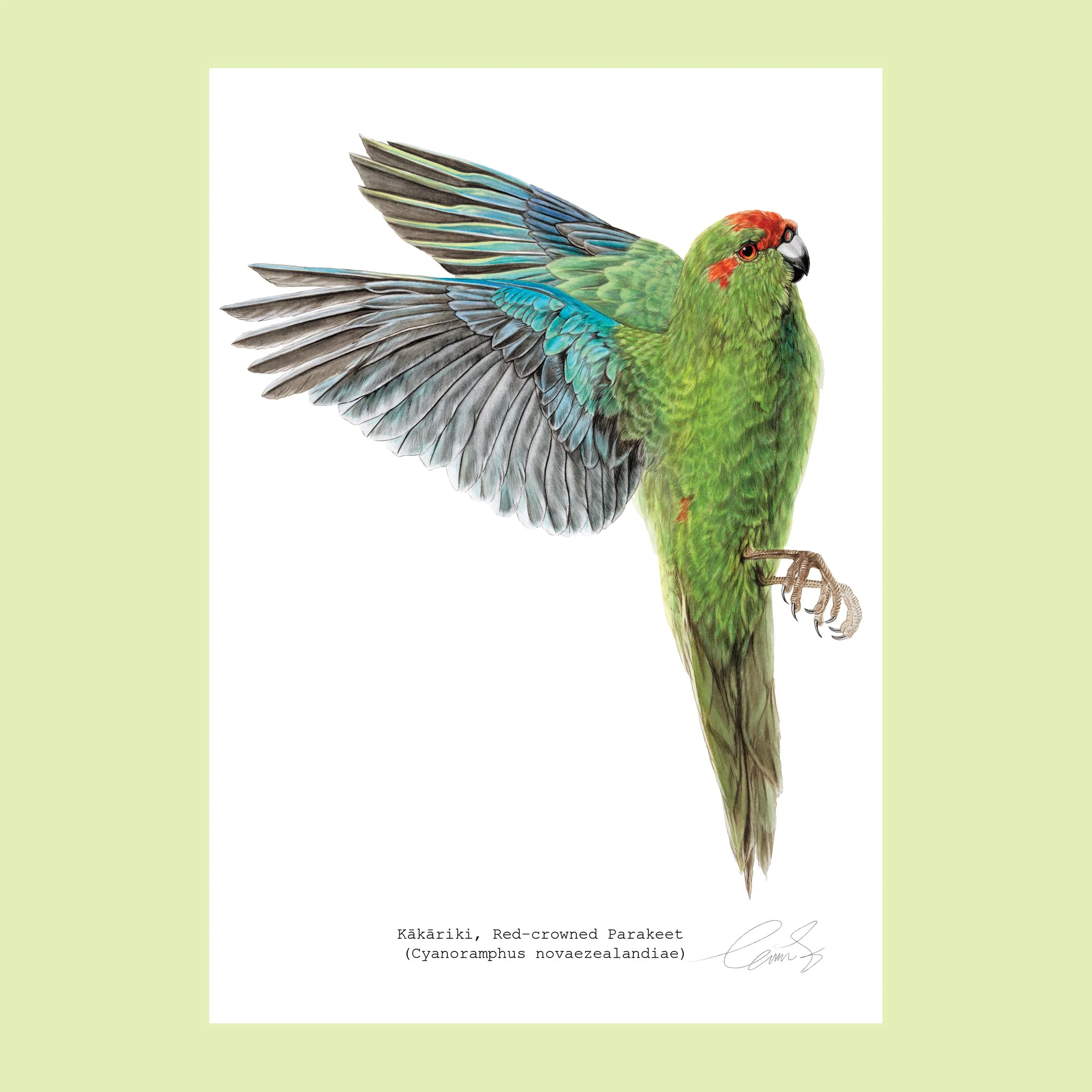 Prints and Posters — Erin Forsyth