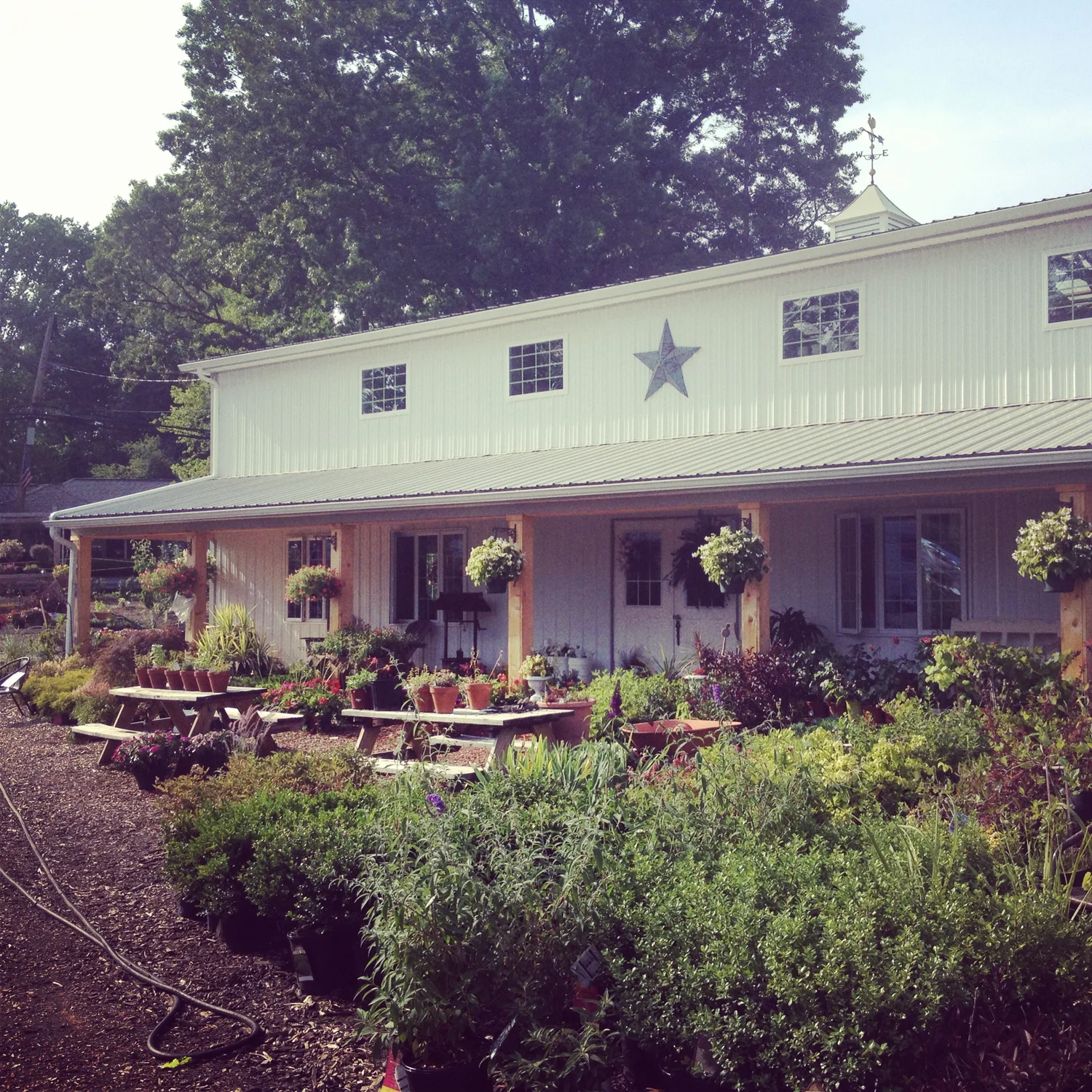 The Barn — Fresh & Fancy Farms