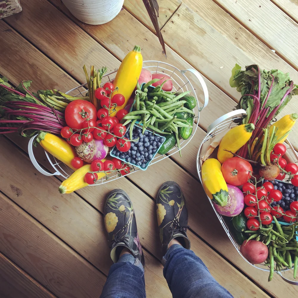 Fresh & Fancy Farms — Fresh & Fancy Farms