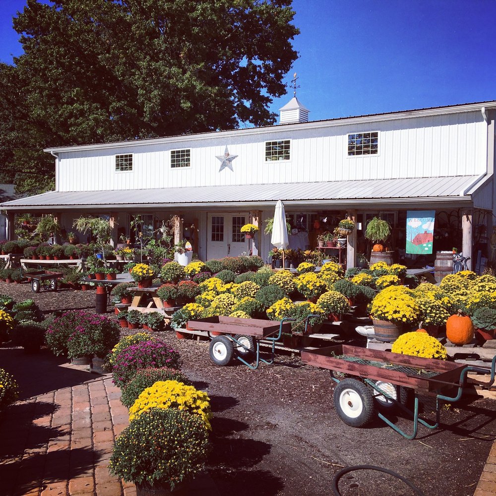 Fresh & Fancy Farms — Fresh & Fancy Farms