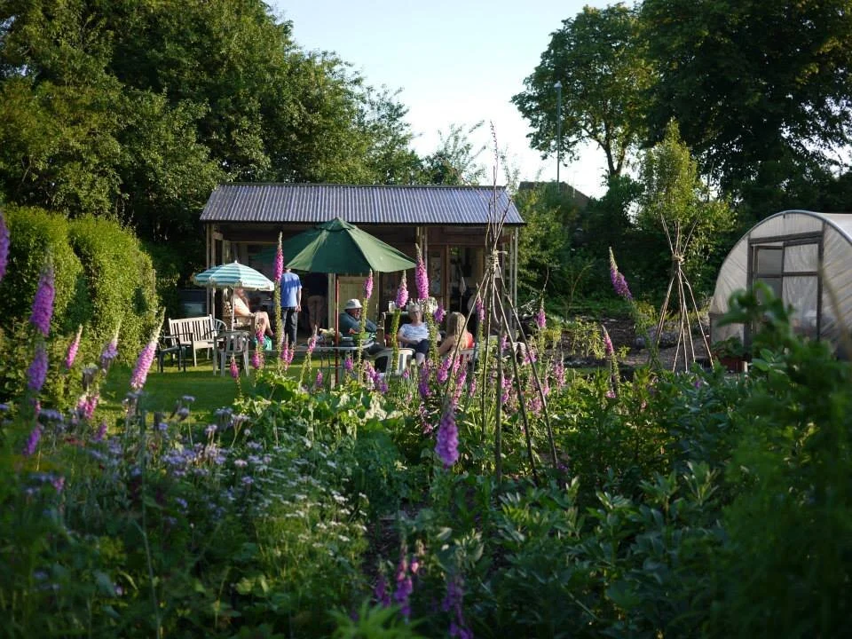 The Allotment — Nottingham Organic Gardeners