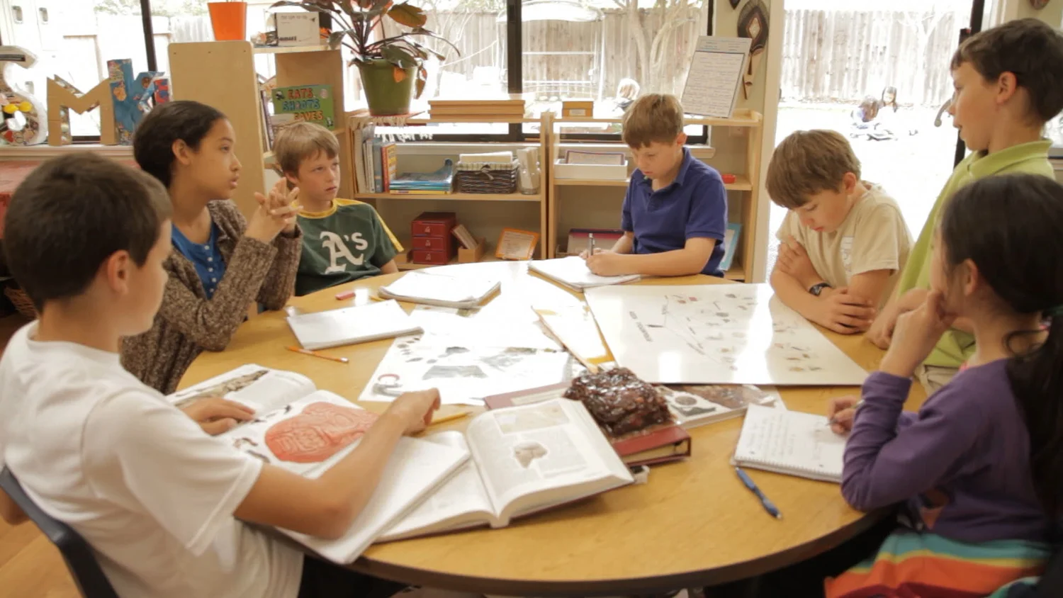 The Learning Continuum — Montessori Guide