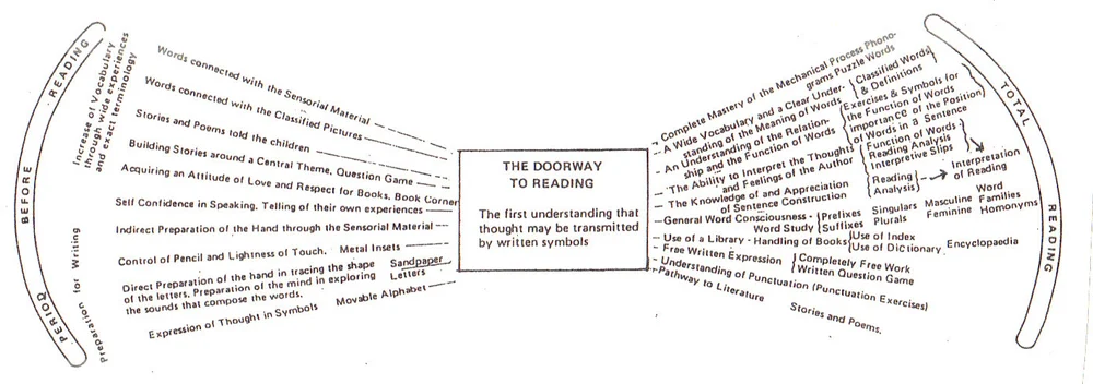 The Learning Continuum — Montessori Guide