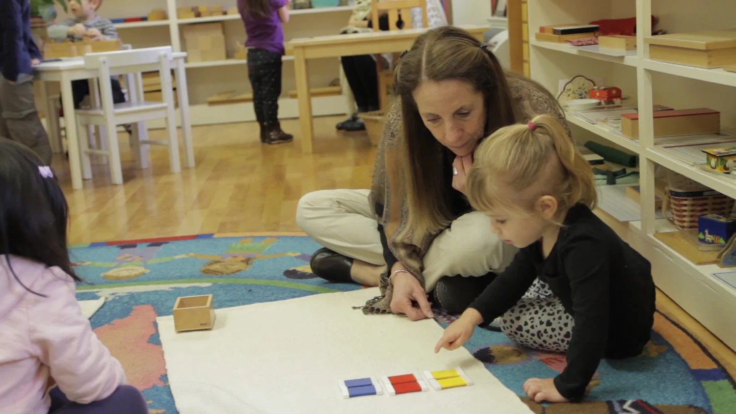 Assessment & Curriculum — Montessori Guide