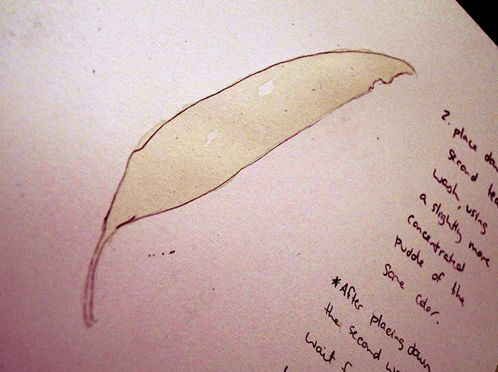 The Botanical Tea Wash Technique -- A Watercolour Tutorial — Keely Van ...