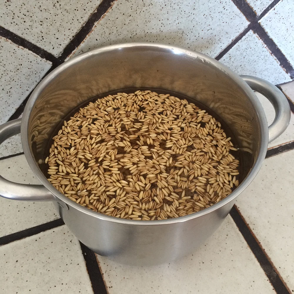 Traditional oat groats... EASIEST EVER no cook technique! — Create ...