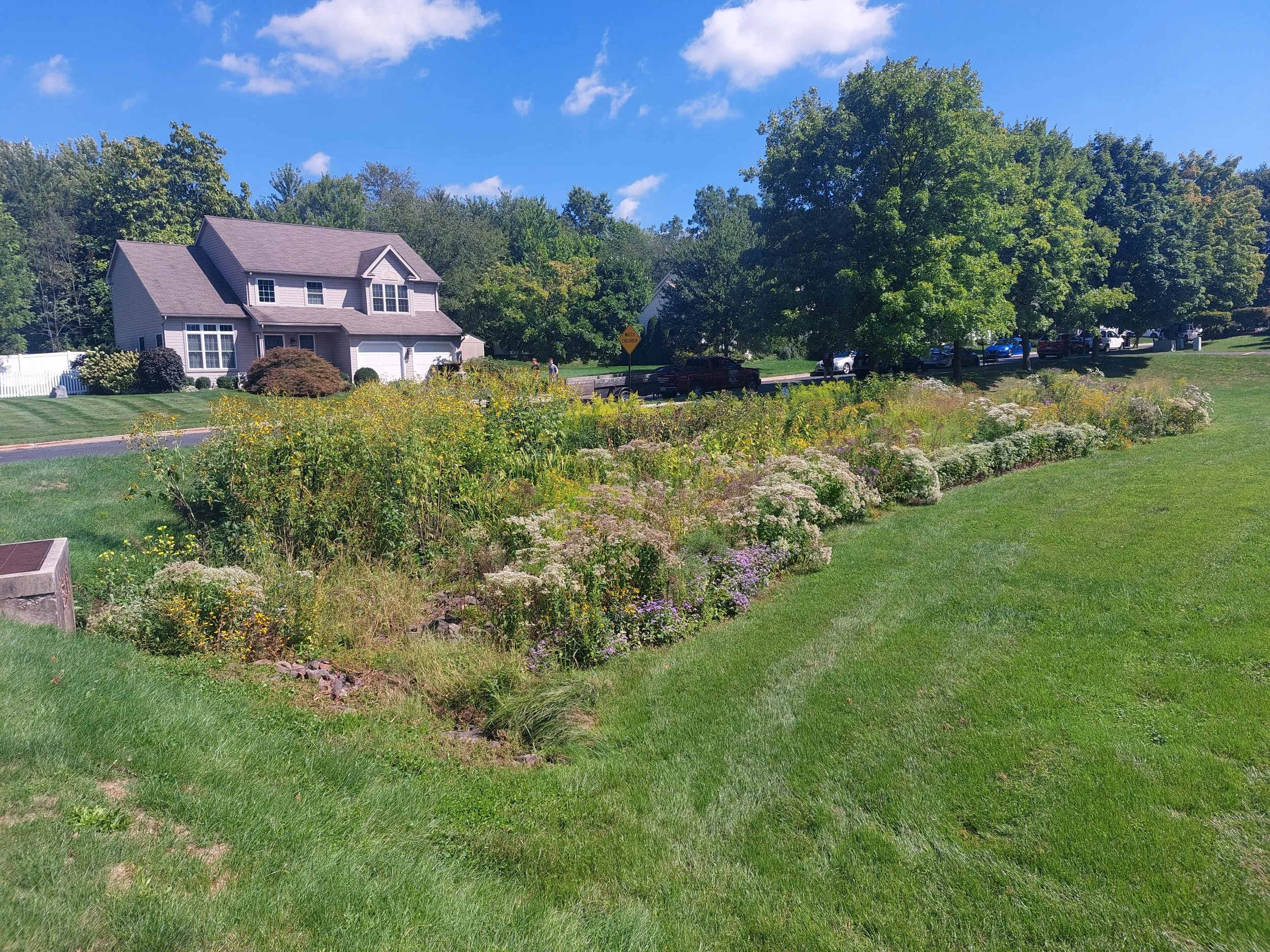 Native Plant Project — Perkiomen Watershed Conservancy