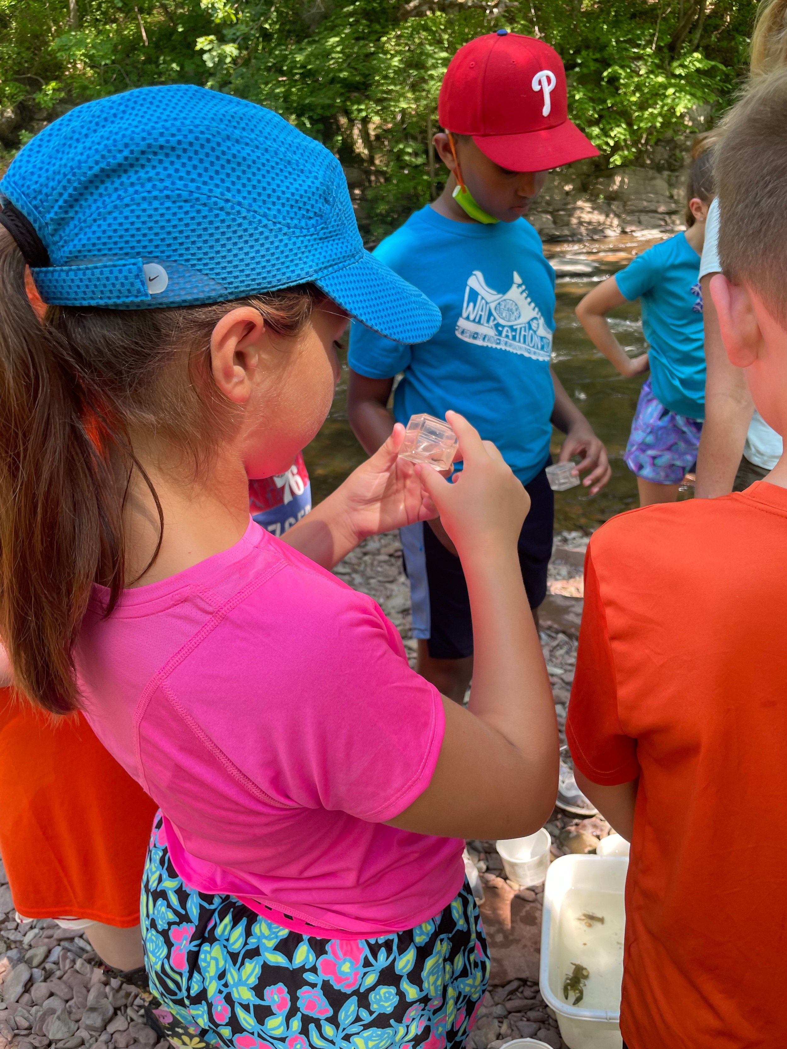 Meaningful Watershed Educational Experience — Perkiomen Watershed ...