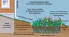 Rain Gardens — Perkiomen Watershed Conservancy