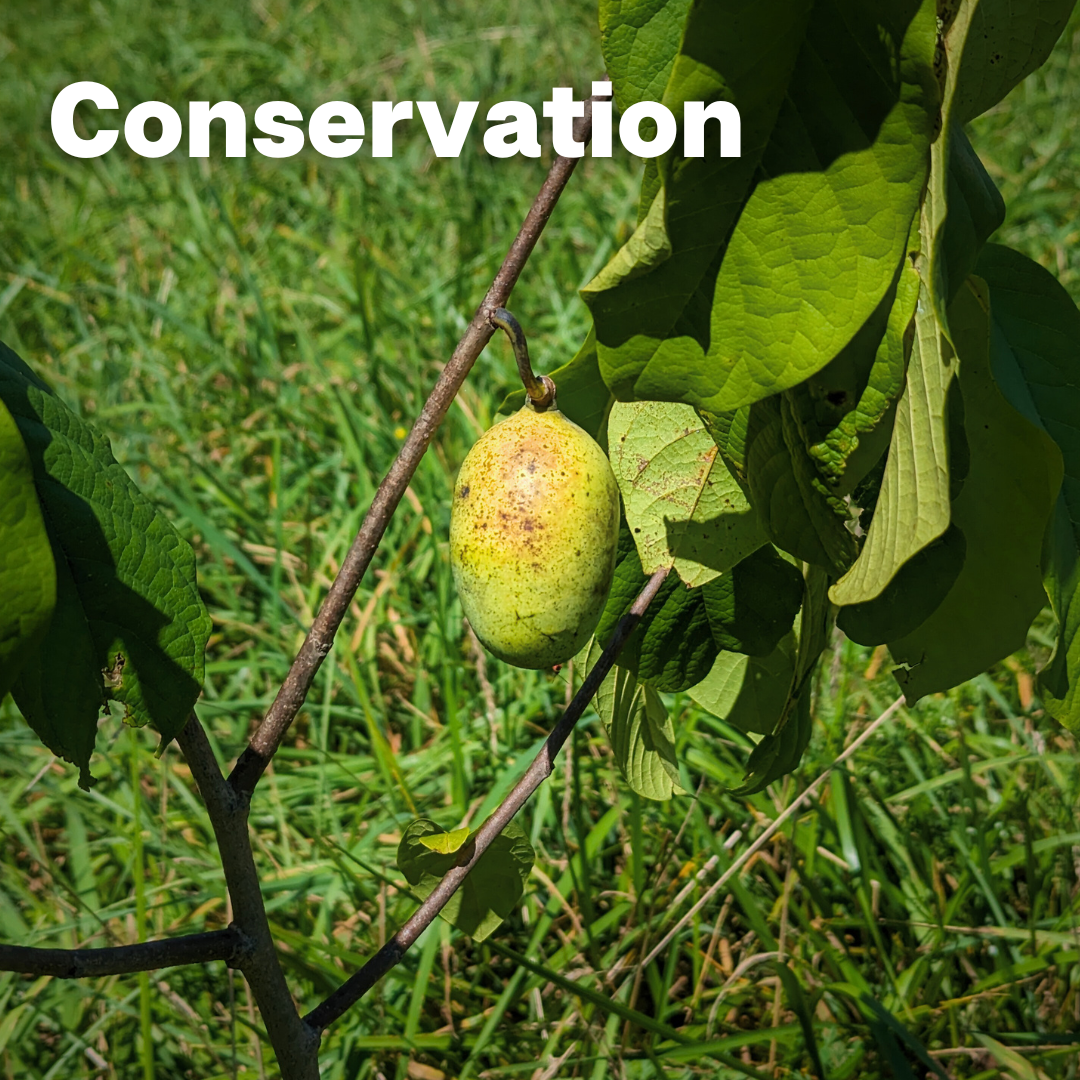 Perkiomen Watershed Conservancy