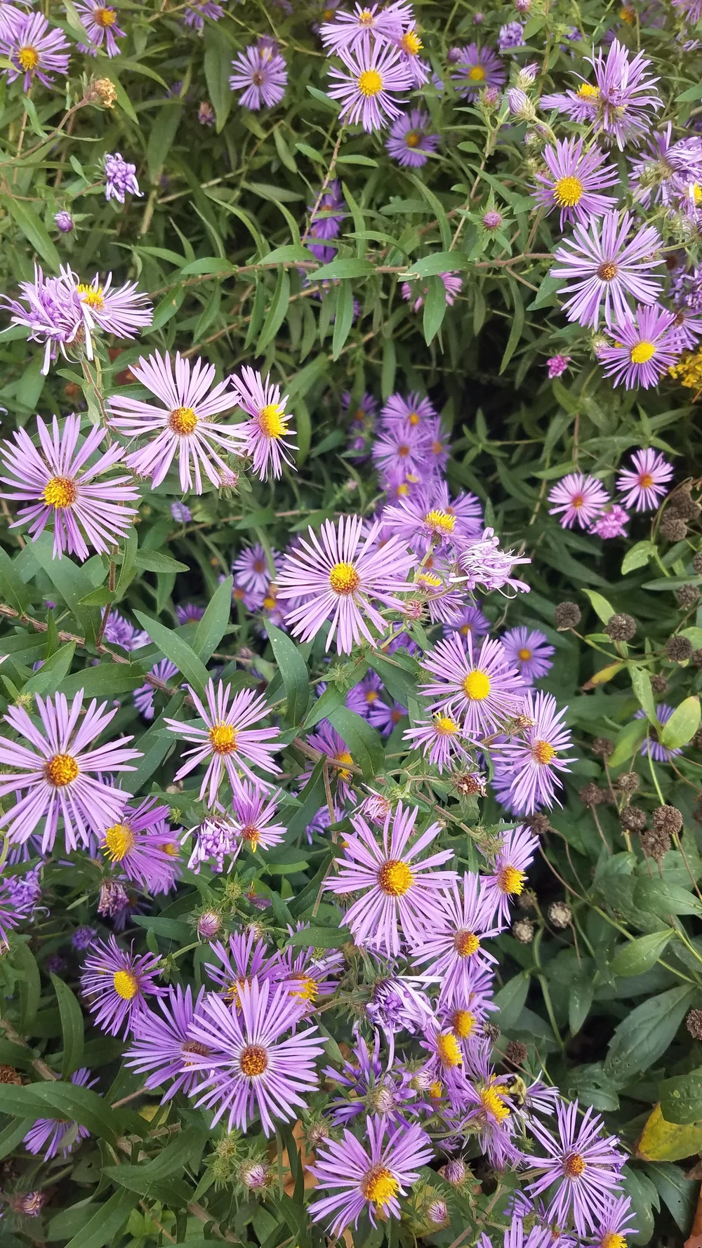 Our Staff — Perkiomen Watershed Conservancy