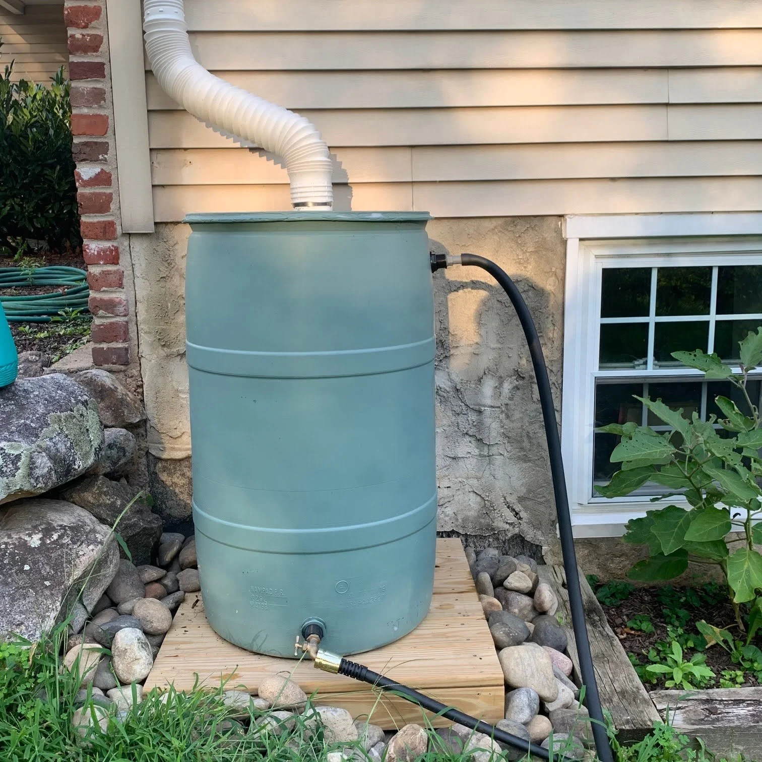 DIY Rainwater Collection System: A Simple, Budget-Friendly Solution for ...