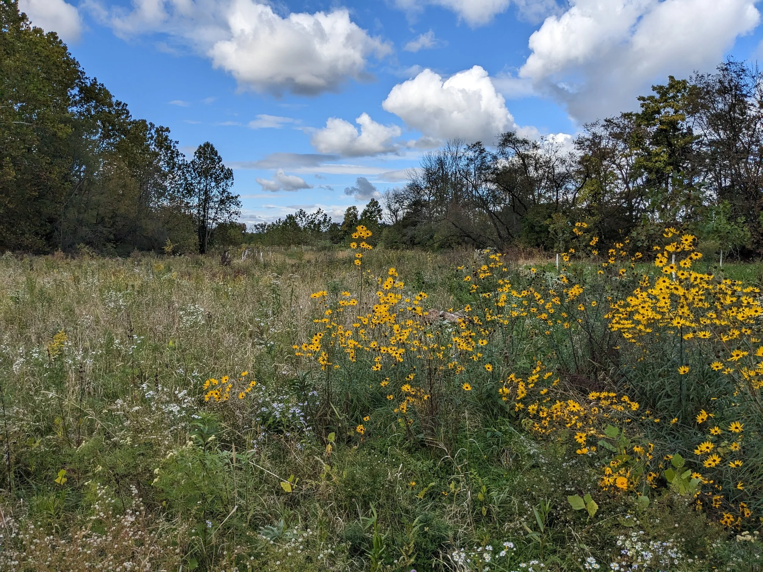 Community Programs — Perkiomen Watershed Conservancy