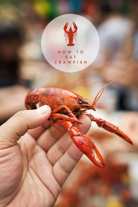 How To Eat Crawfish