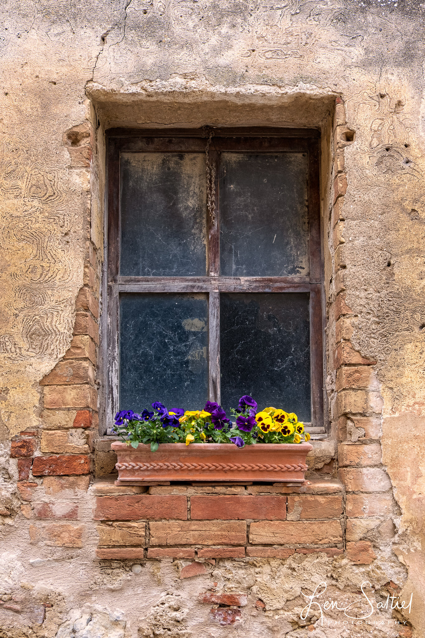 Blog — Lens EyeView Photography