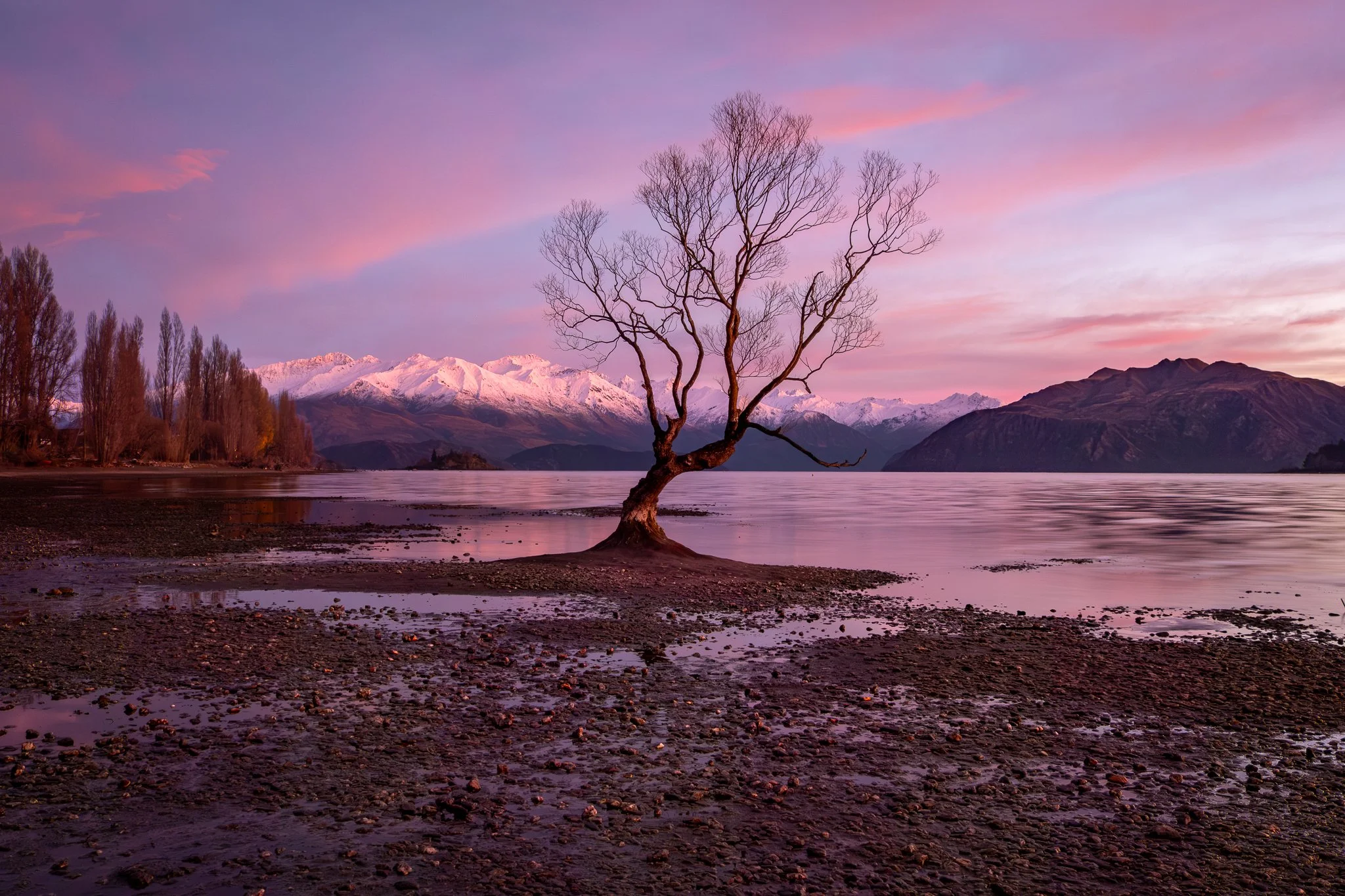 That Wānaka Tree - Lake Wānaka, Wānaka, New Zealand — Lens EyeView Photography