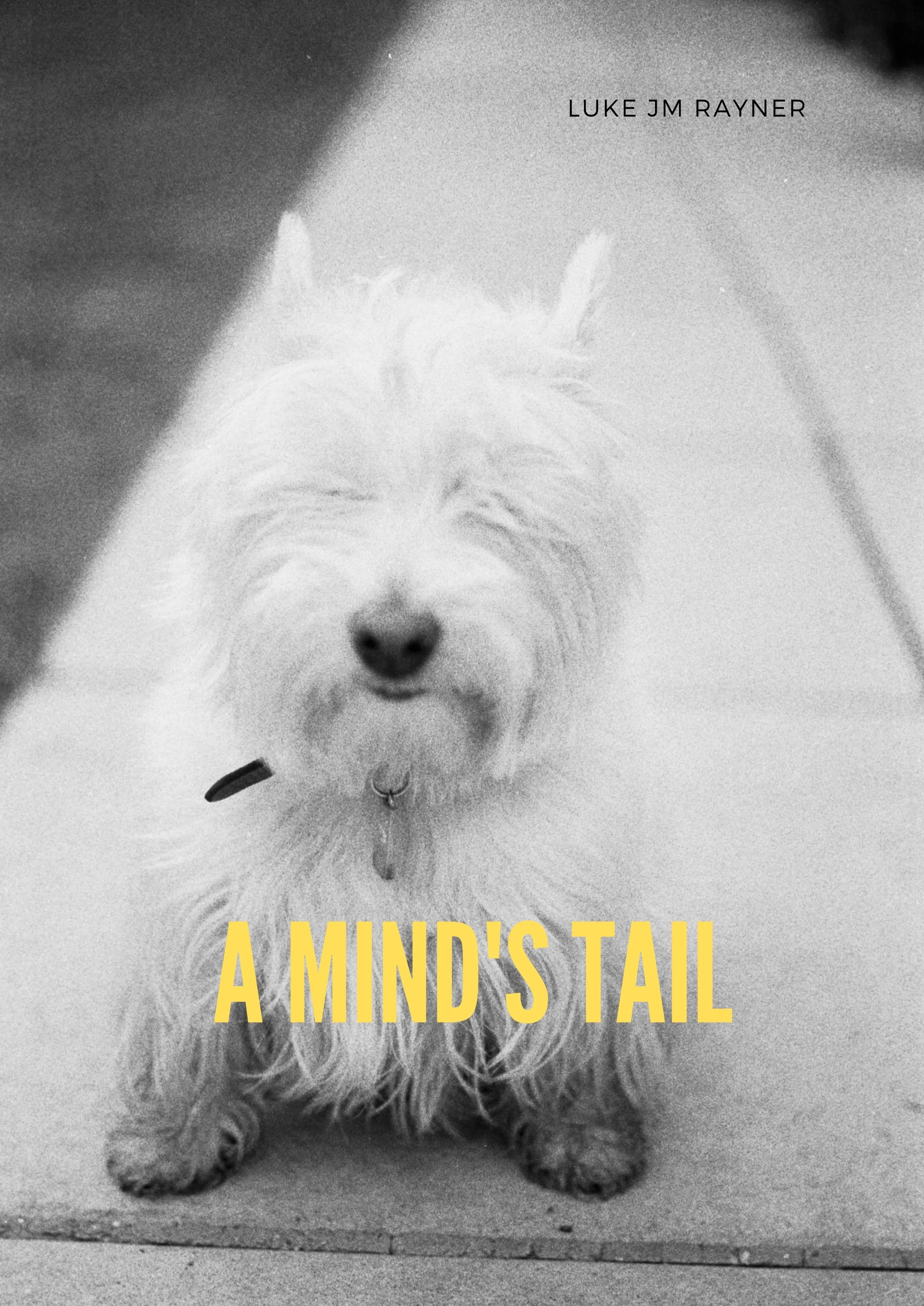 Statement — Luke Rayner