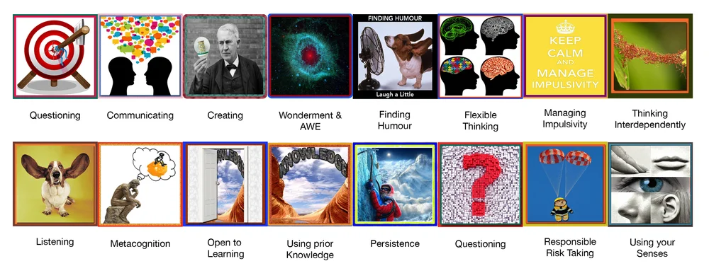 Learning and Cognitive Load - Part Two — The Learner's Way