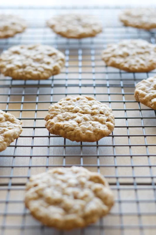 Homemade It's-It Ice Cream Sandwich — Pixels + Crumbs