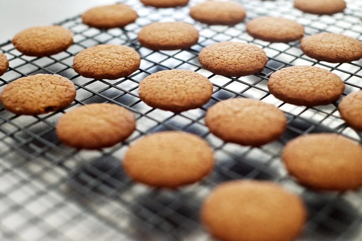 Chocolate Dipped Grahams with Smoked Sea Salt — Pixels + Crumbs