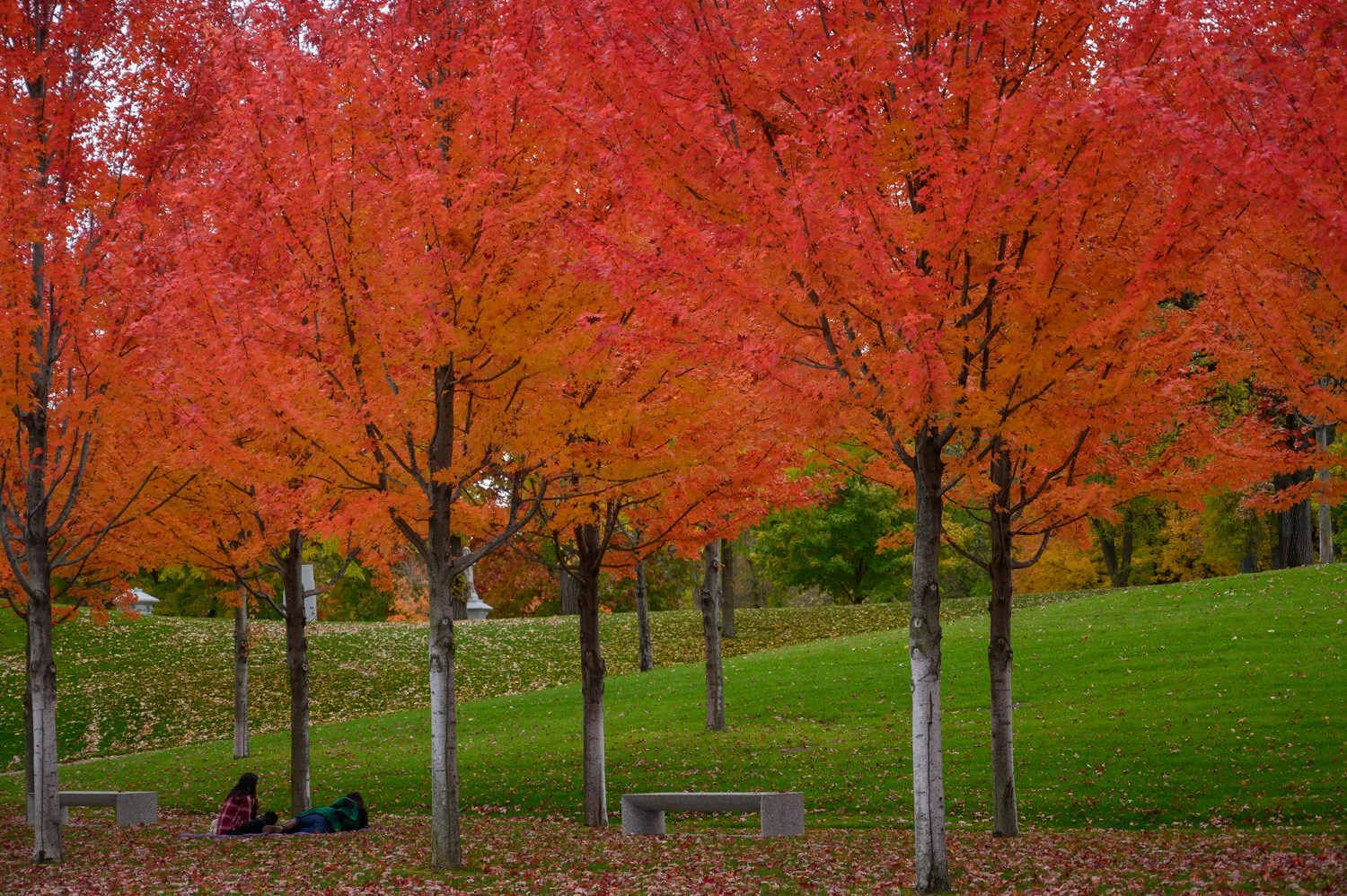 events calendar — East Bde Maka Ska