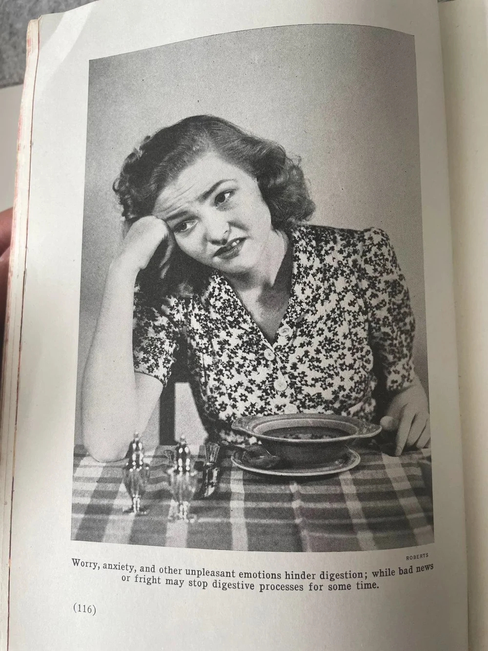 The Homemakers' Cookbook and Guide to Nutrition — Cafe St Honore