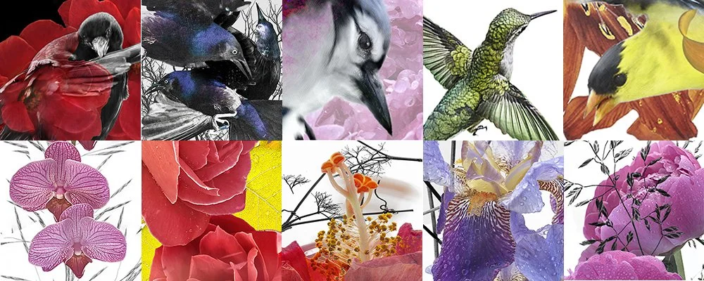 ART ET PHOTOGRAPHIE-Marc Cramer ACCUEIL-Accueil