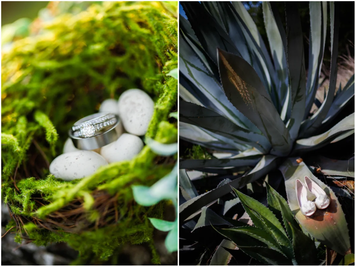 Jillian Finkelstein Wedding