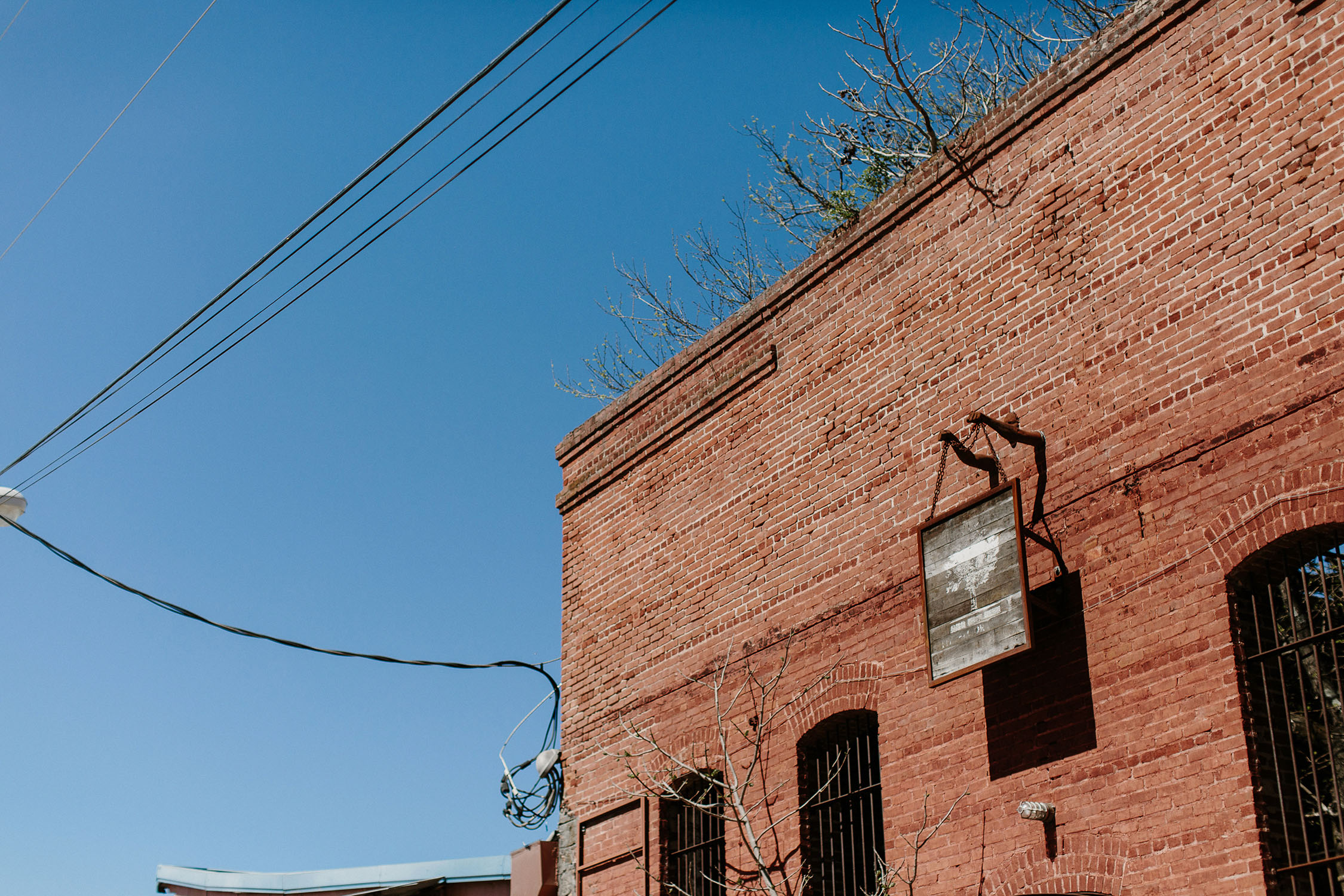 Katrina + Parker Tree Room Wedding in Athens — SOMEPLACE WILD ...