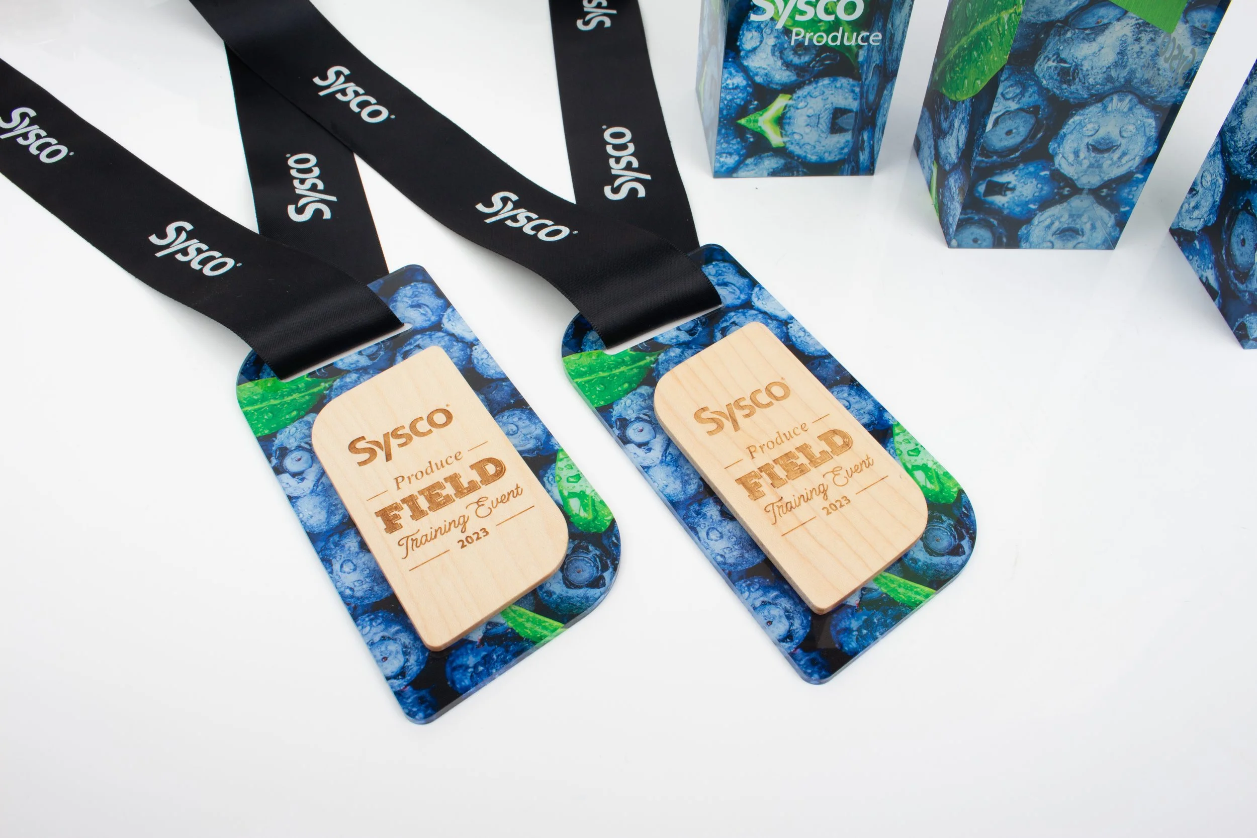 Sysco custom awards and medals — watson design