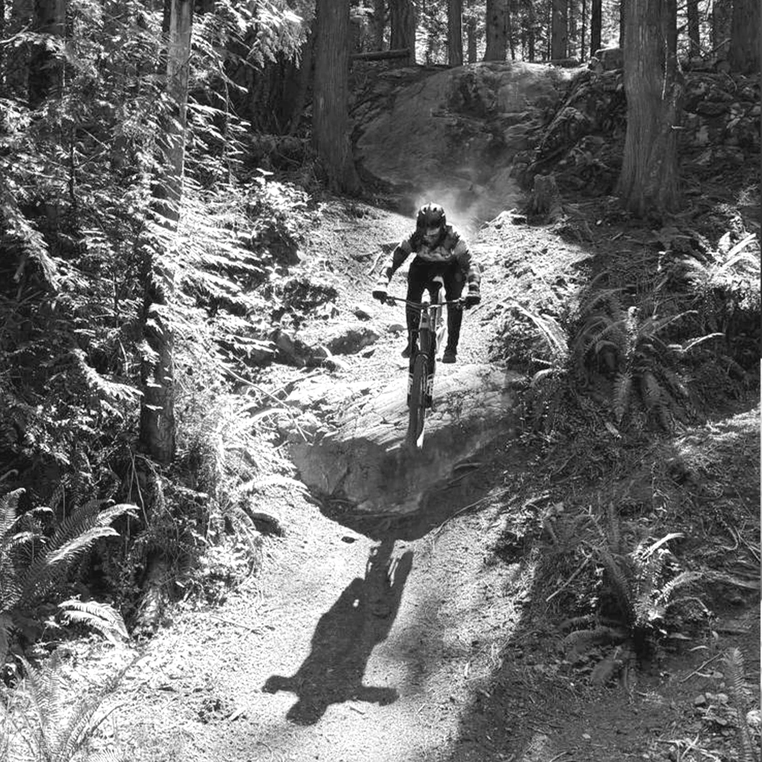 About — watson design