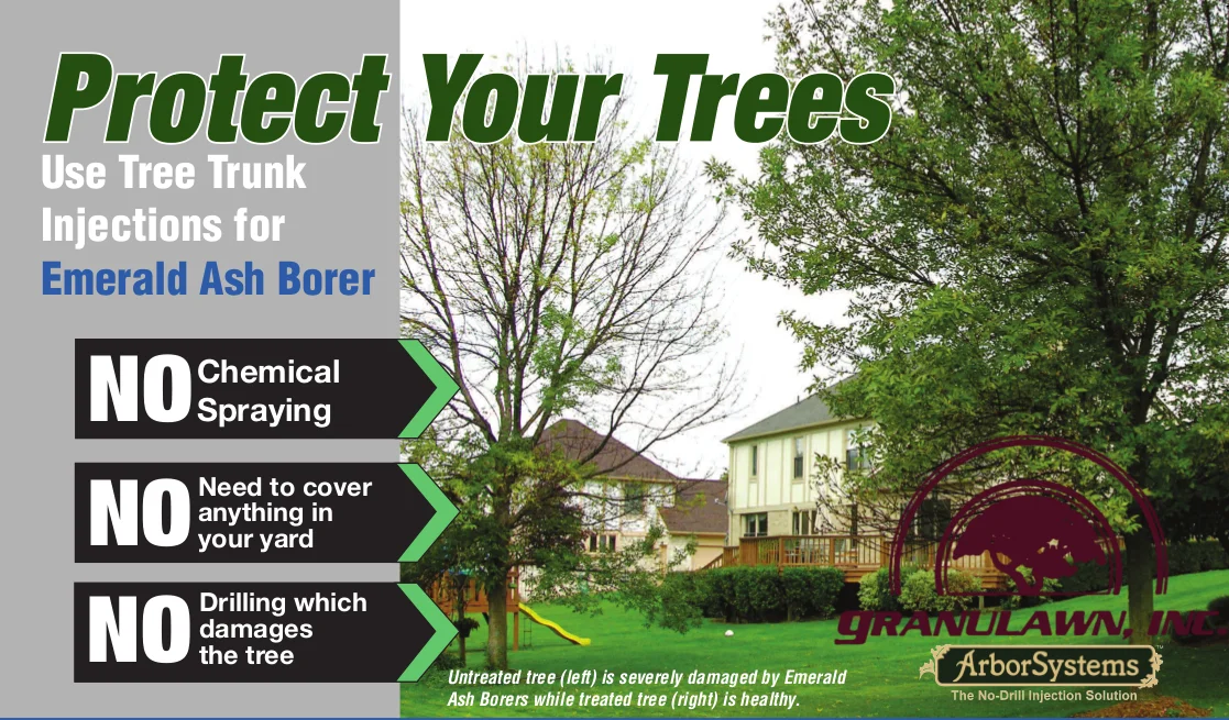 Emerald Ash Borer Treatment Chemicals
