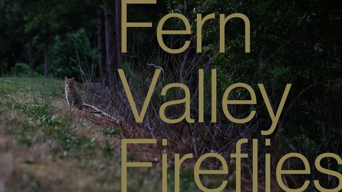 Video — Forrest Simmons