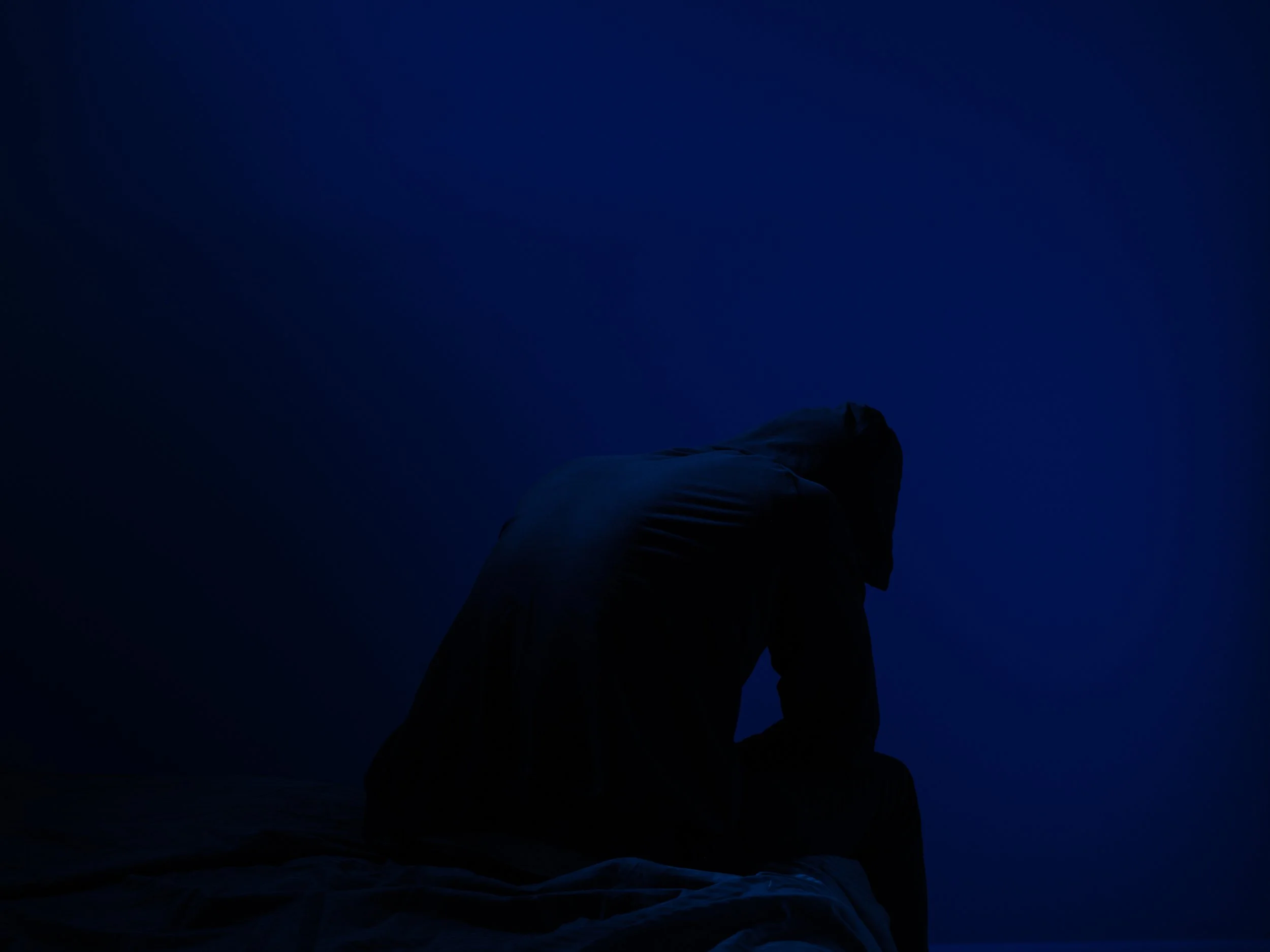 A Lush and Ferocious Wilderness — Forrest Simmons