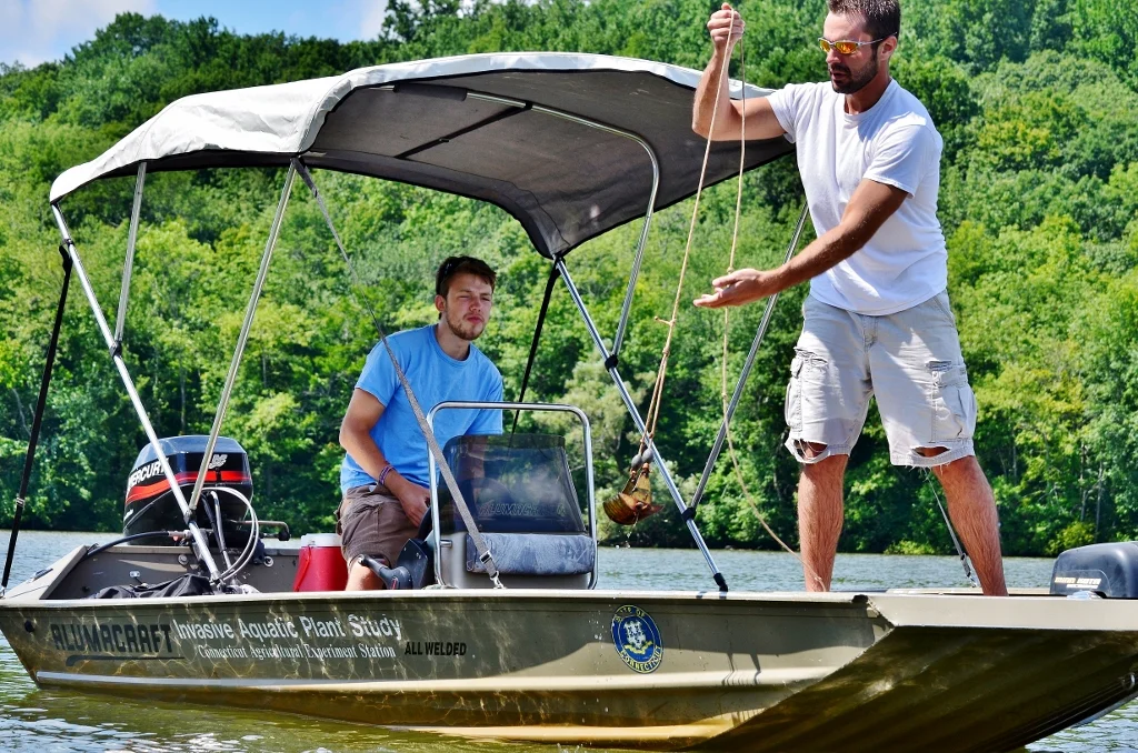 Scientists study how Beseck dam repair may impact aquatic plant ...