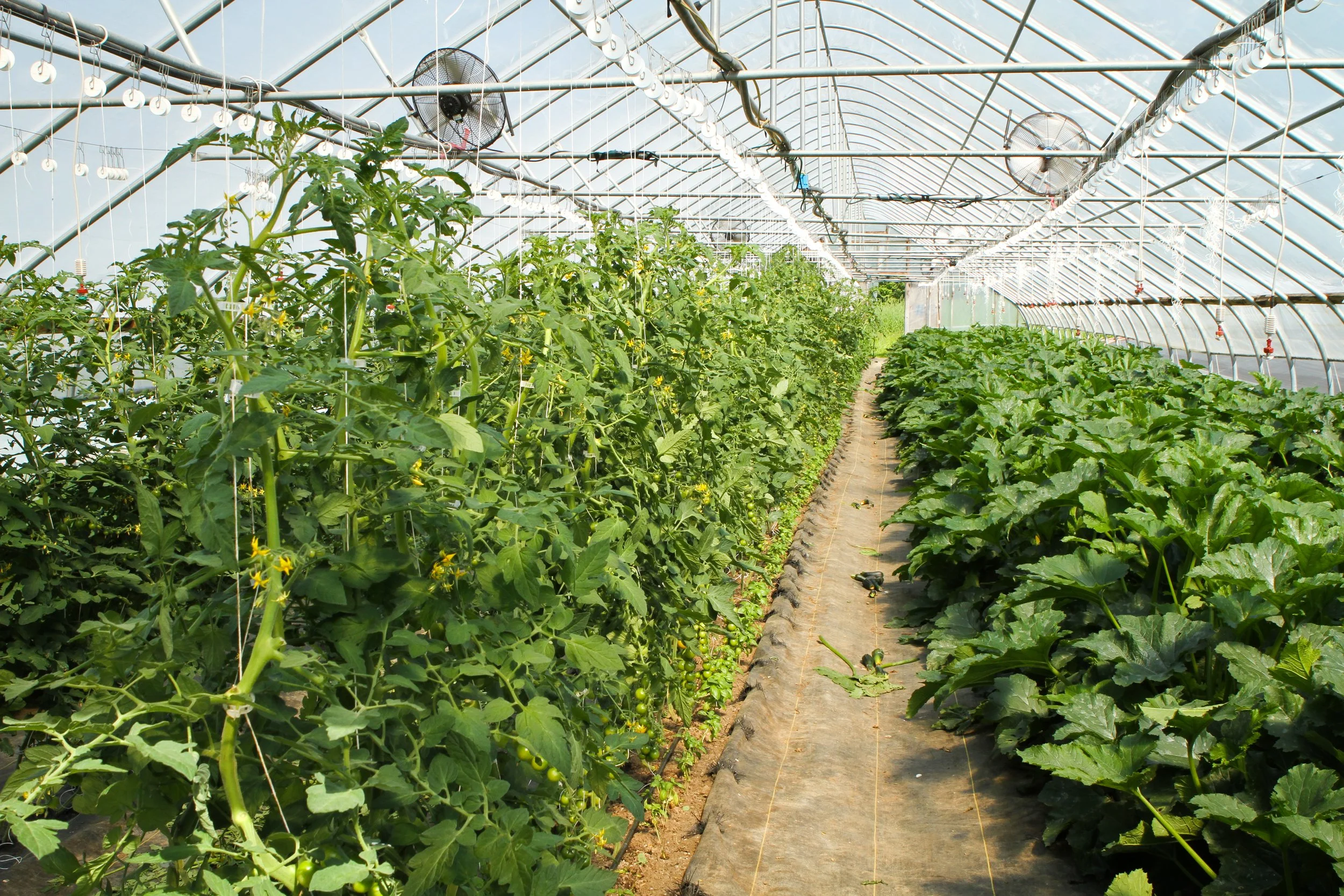 Jericho Settlers Farm, Inc.