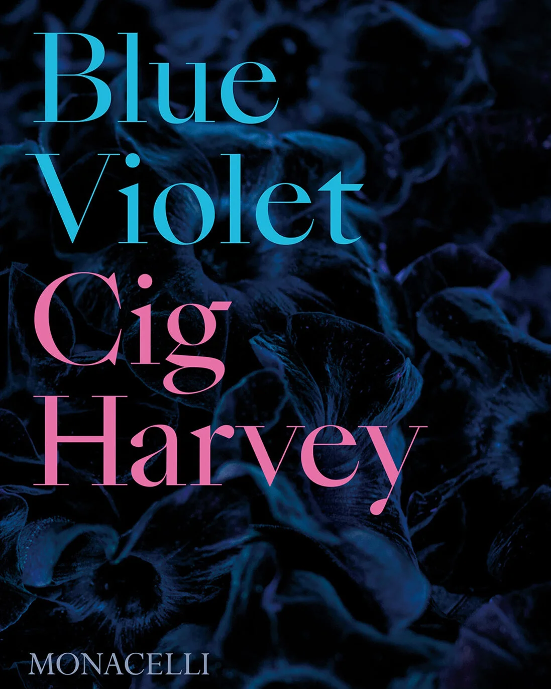 Books — Cig Harvey