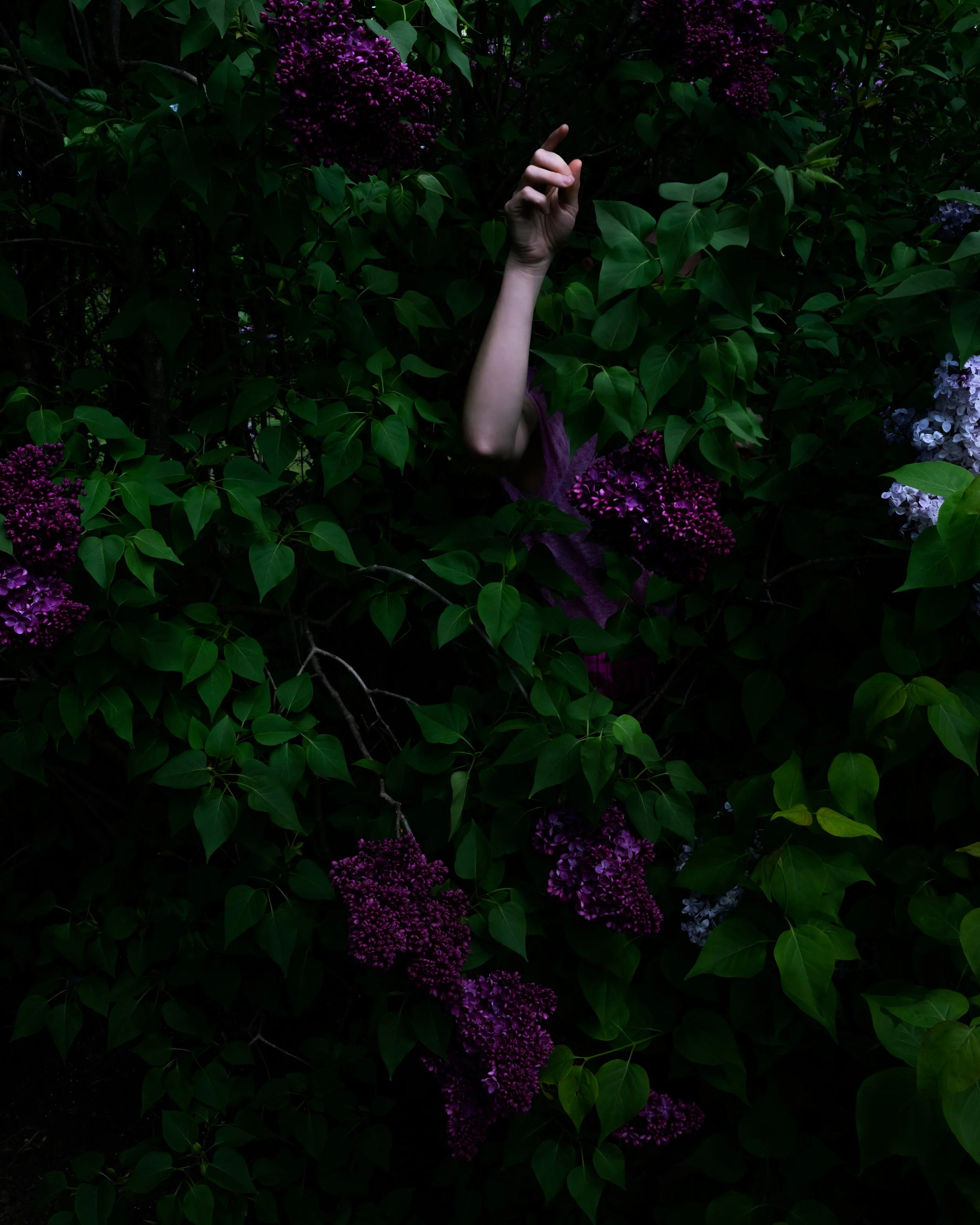 Emerald Drifters — Cig Harvey