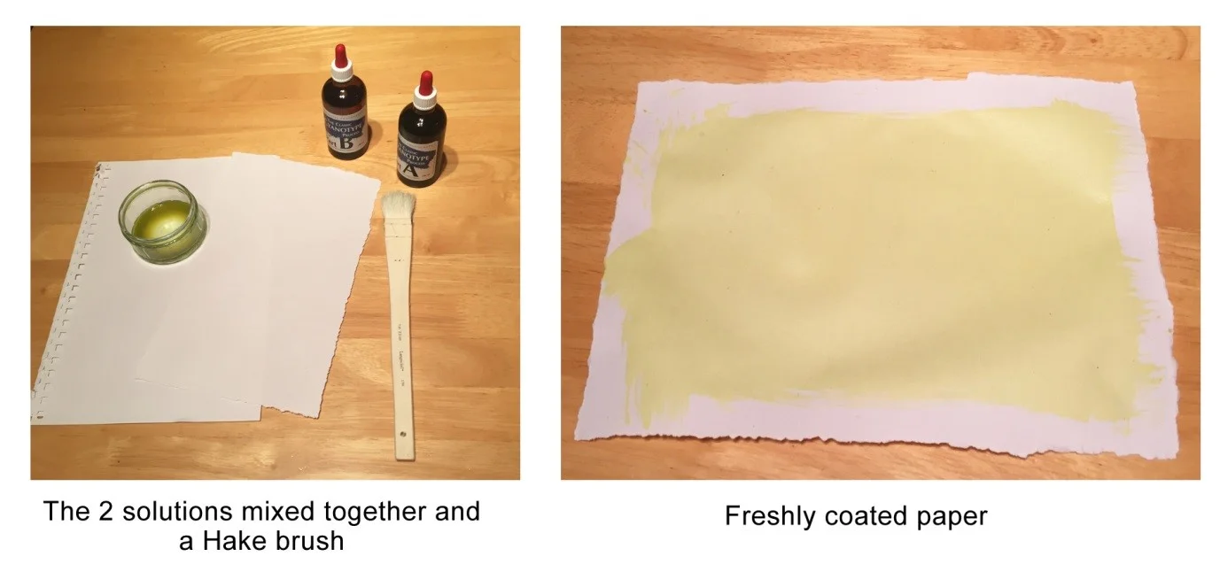 BLUEPRINTS: A BEGINNER'S GUIDE TO CYANOTYPES | RICHARD P J LAMBERT ...