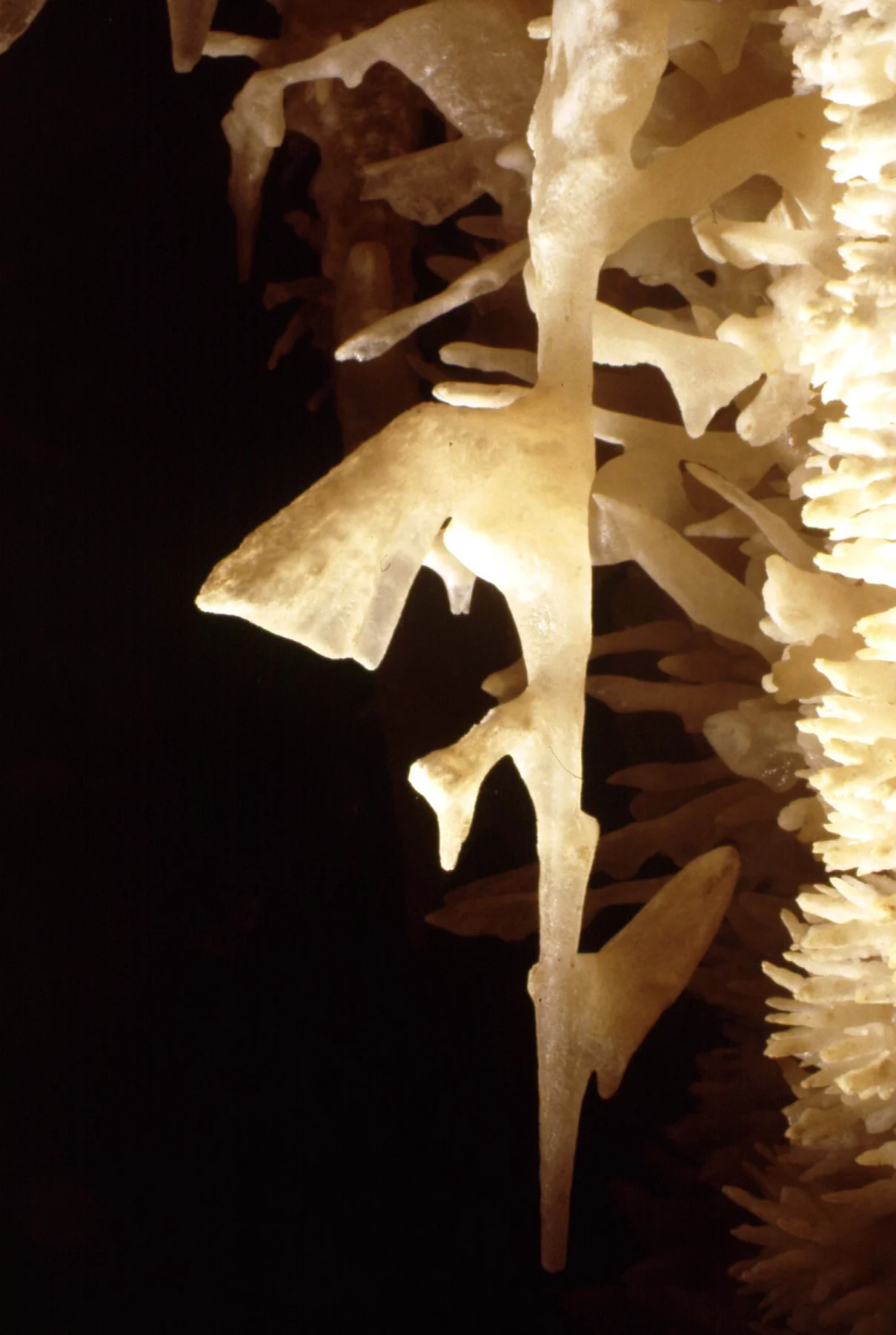 Cave Photography, Part 2: Making the Exposure | James Jasek | Film ...