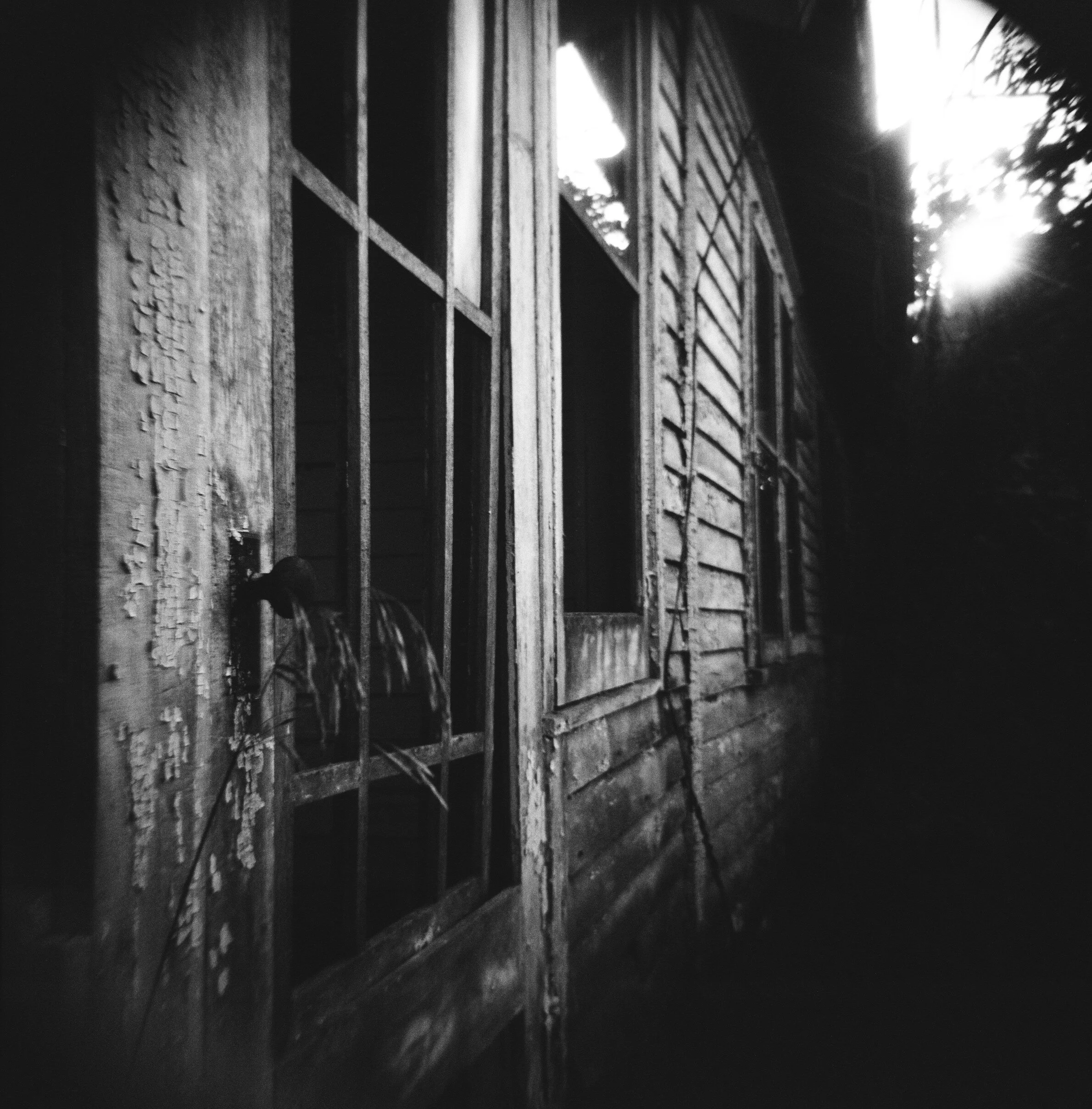 Happy Halloween! | FSC Members | Film Shooters Collective