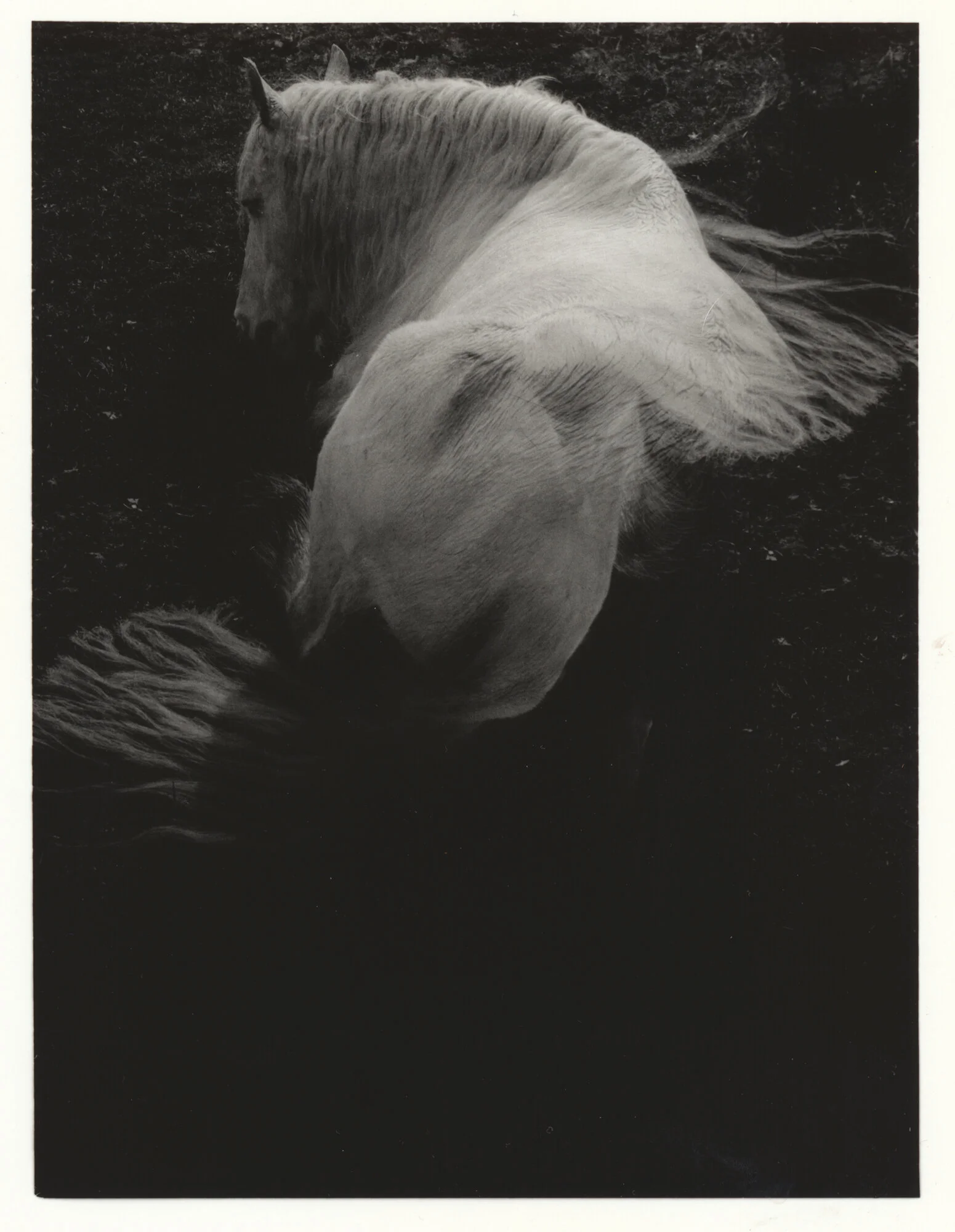 National Poetry Month, Day 1 | Richard Lambert & Eli Snow | Film ...