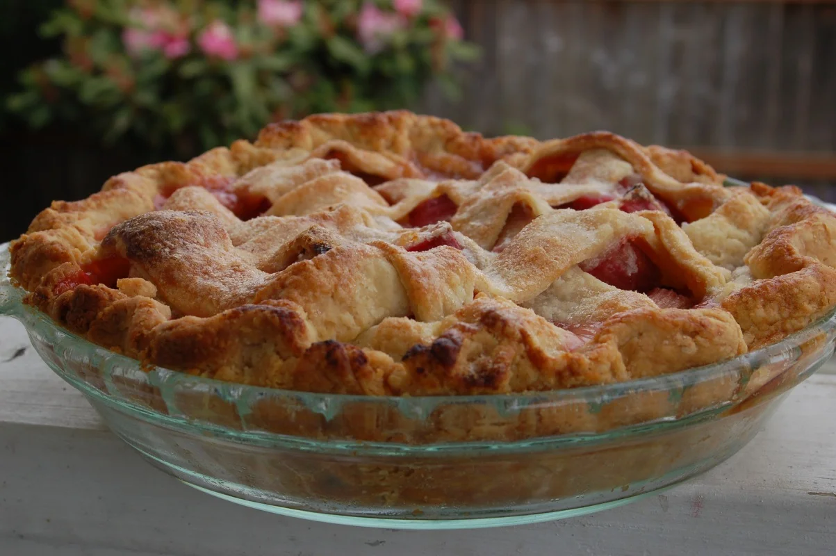 Melissa's Photo Gallery — Melissa A. Trainer Communications