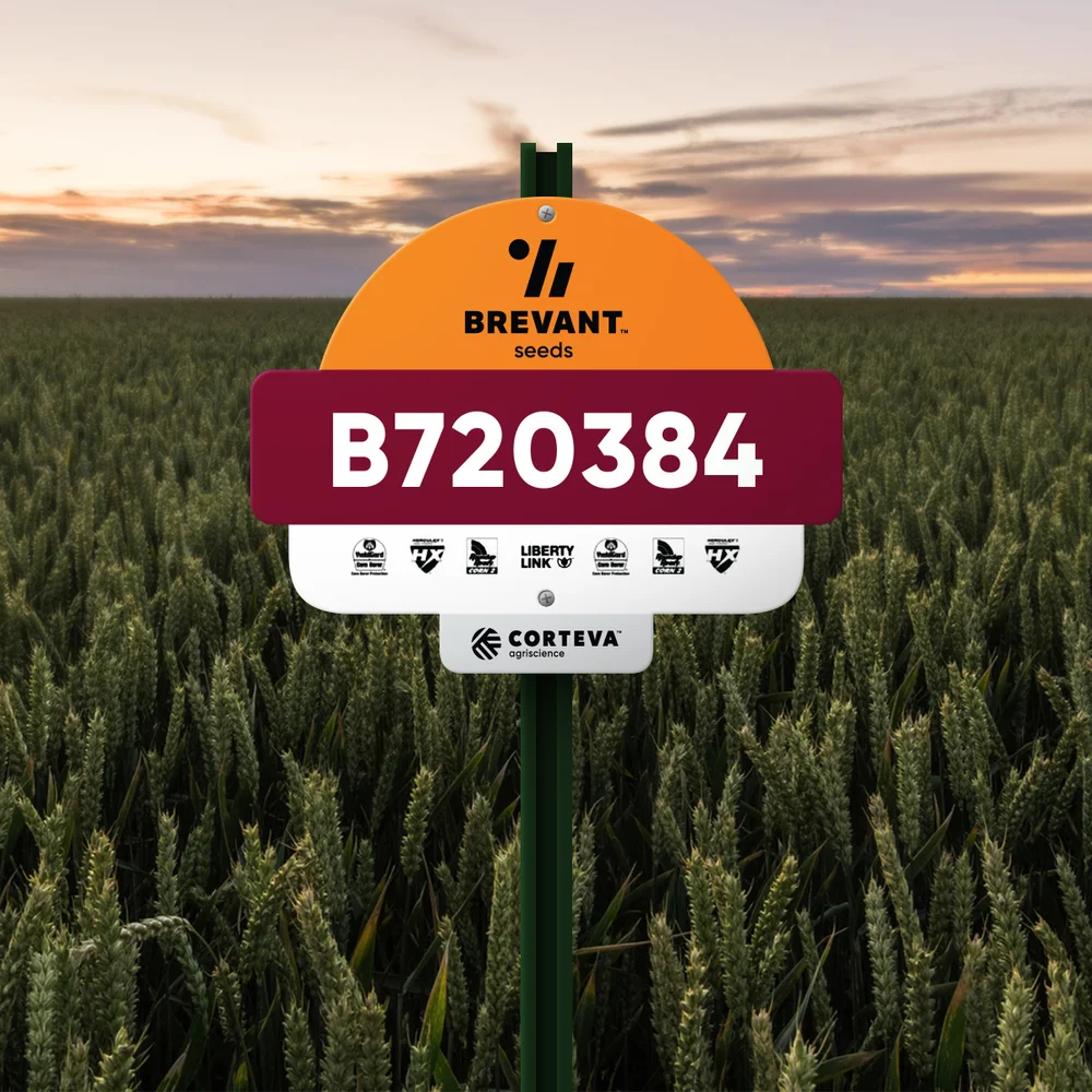 Brevant Seeds — Hahnmade